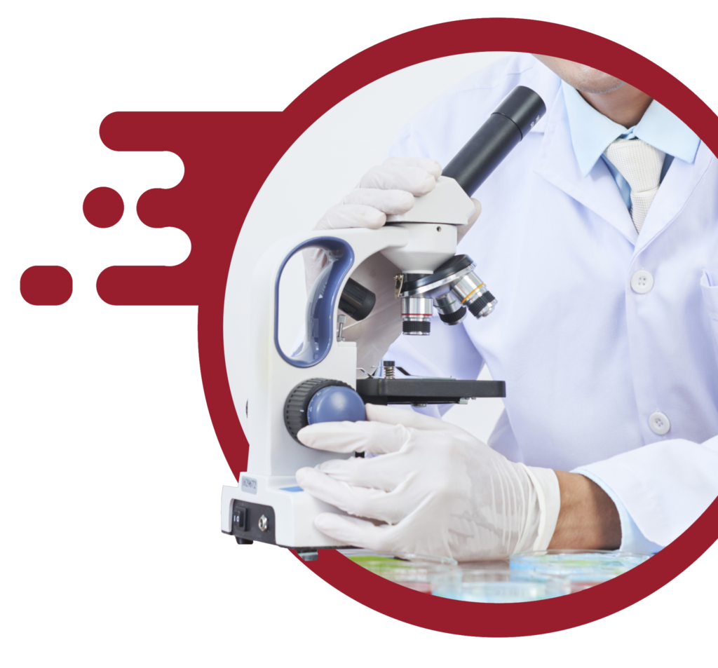 İnci Laboratoriyaları – İnci Laboratoriyaları